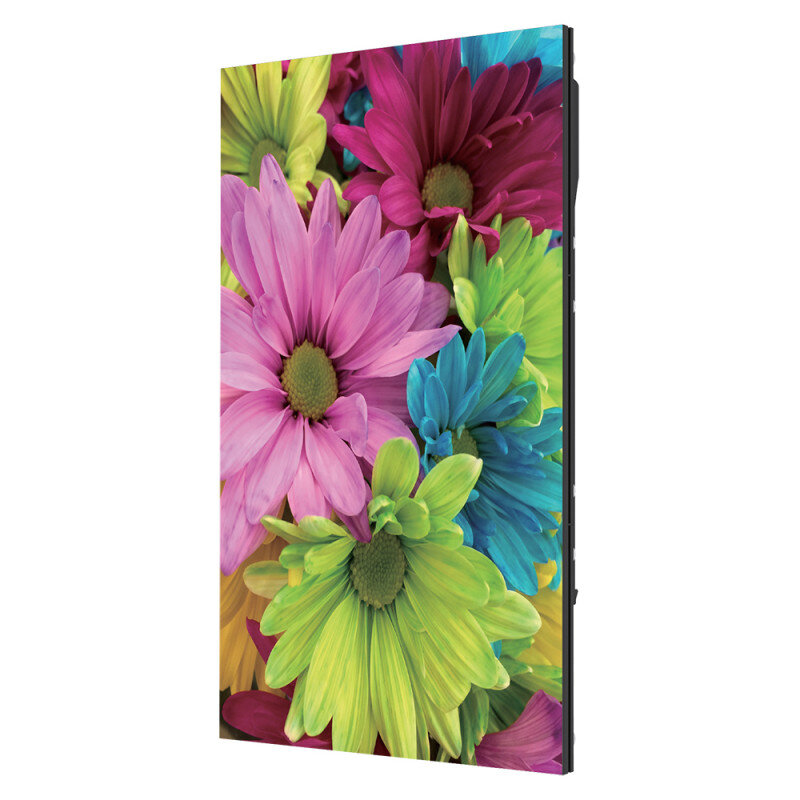 Schermo Led 50" Ego Display EasyPro-P1.8 Per Interni Servizio Frontale ...