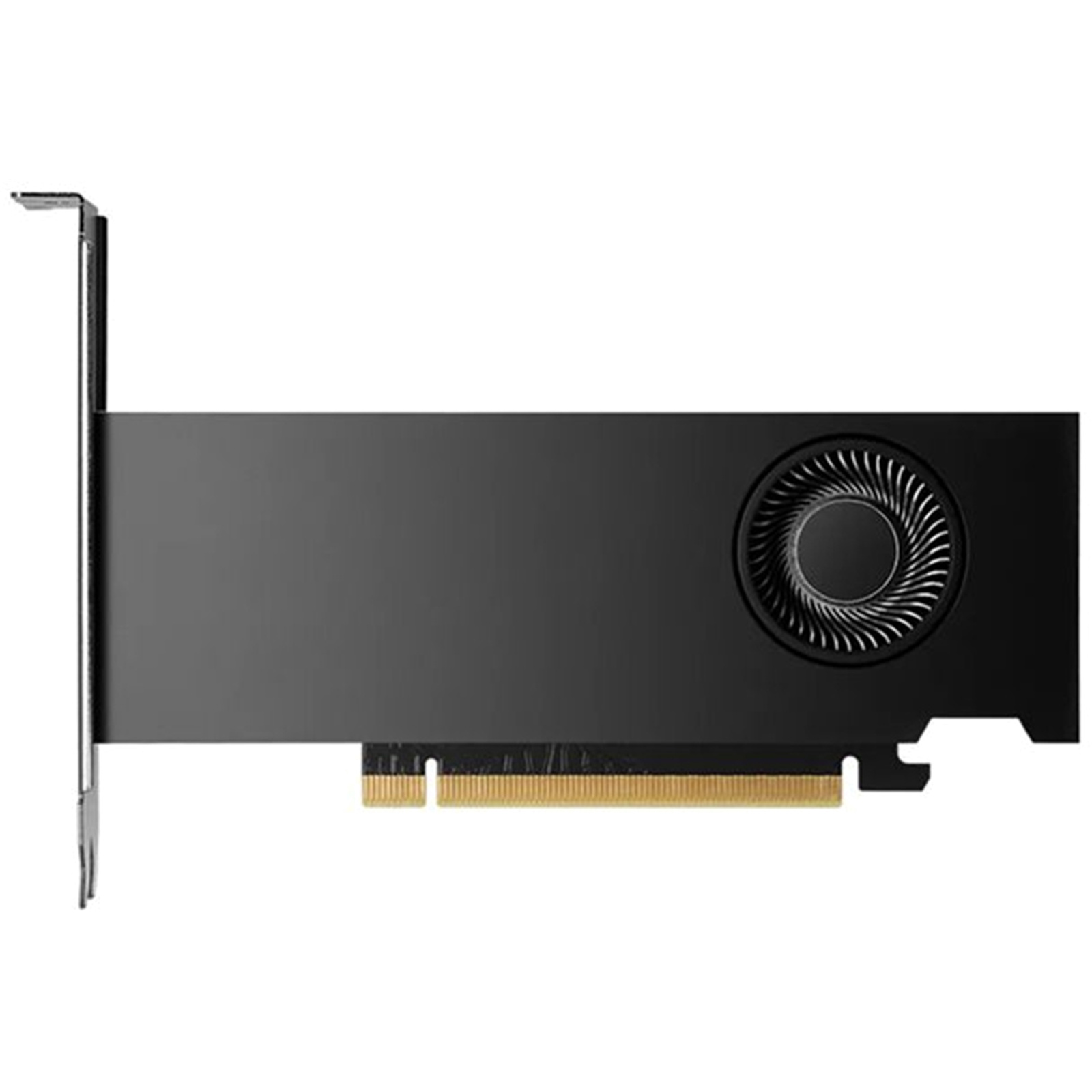 Scheda Video Nvidia Quadro RTX 2000 Ada 16GB GDDR6 ECC PCI-E 4.0 Nero ...