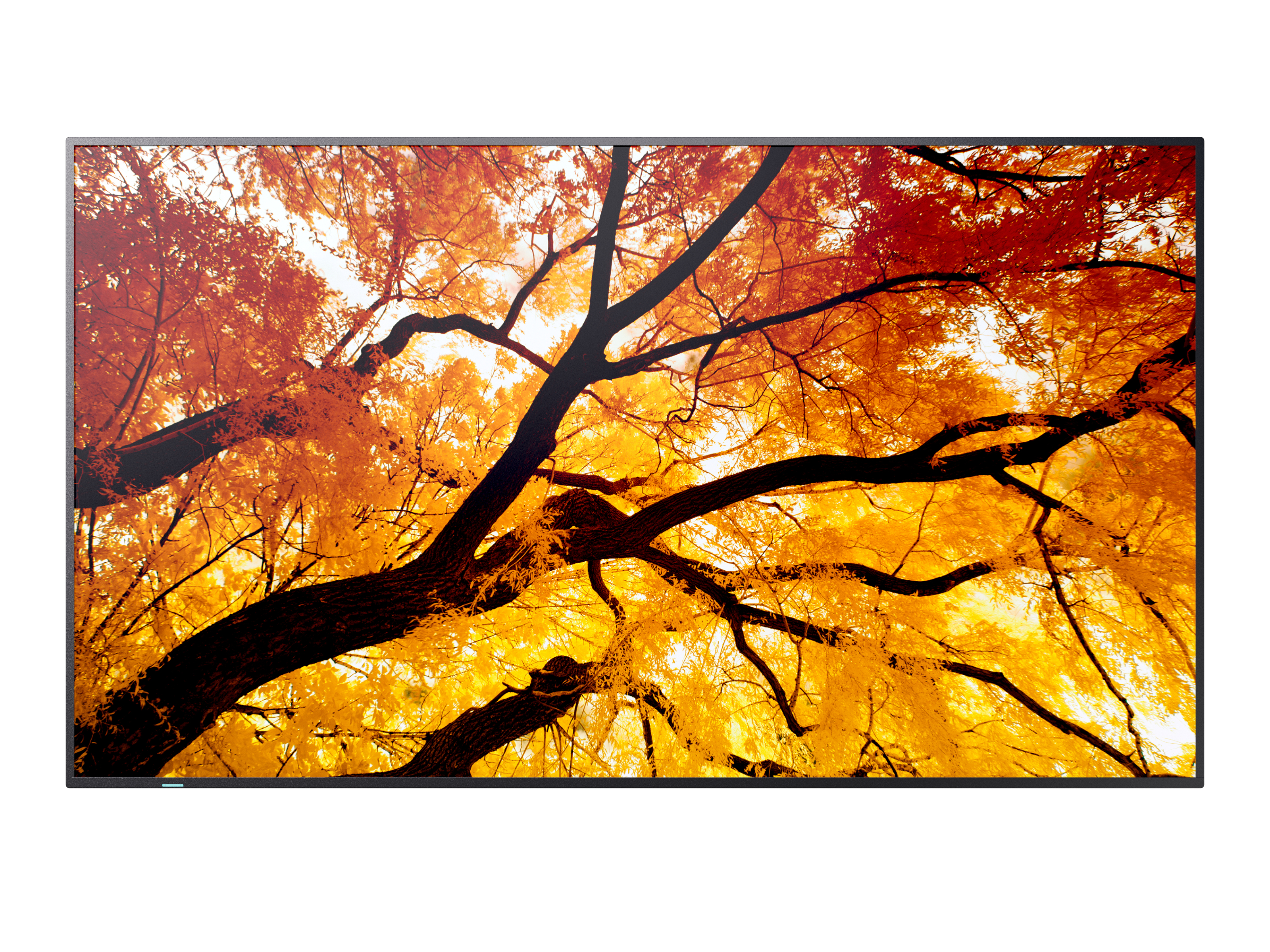 Monitor Digital Signage Led 32" Sharp MultiSync M322 Full HD 1920x1080p ...